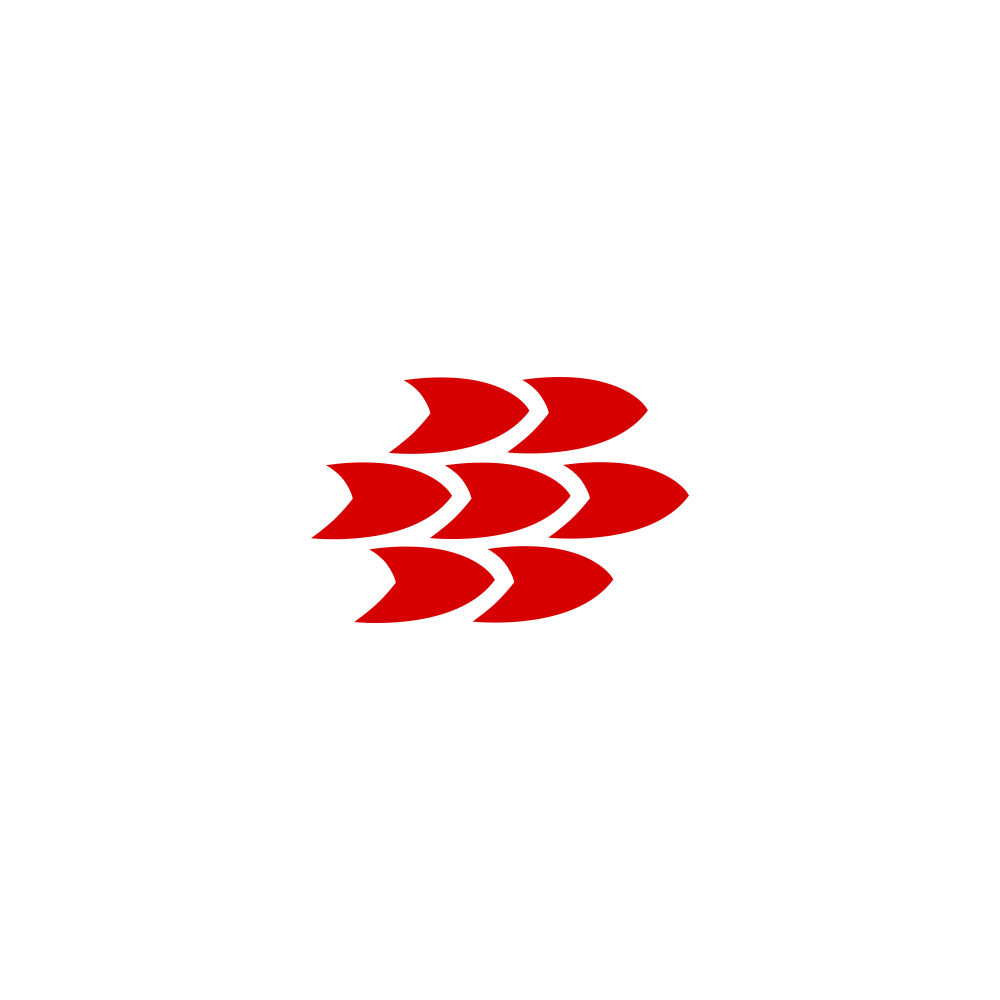 Dragonair Airlines Logo